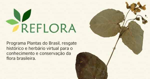 Herbário Virtual Reflora | British Council