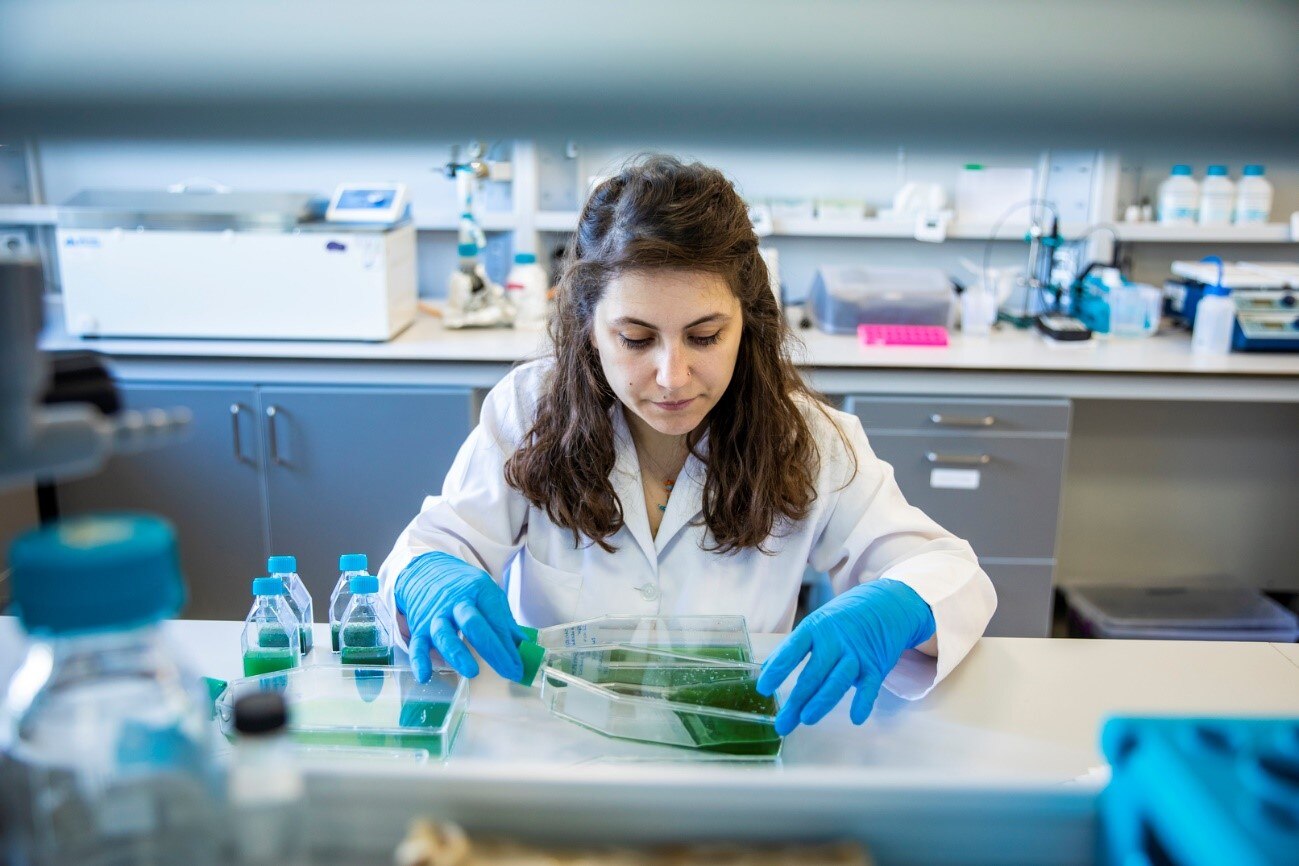 STEM Education Hub | British Council